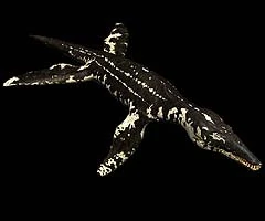 Liopleurodon | Nature Wiki | Fandom