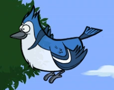 Blue Jay | Naturecat Wikia | Fandom