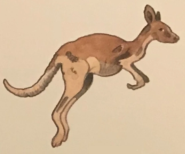 Red Kangaroo/Books | NatureRules1 Wiki | Fandom