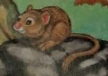 Desert Pocket Mouse | NatureRules1 Wiki | Fandom
