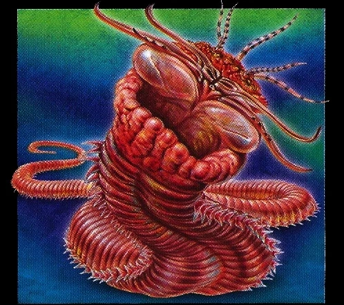 Bobbit Worm | NatureRules1 Wiki | Fandom