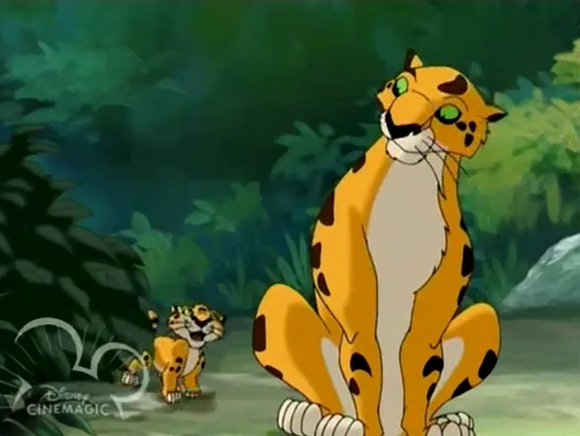 Leopard/TV Shows | NatureRules1 Wiki | Fandom