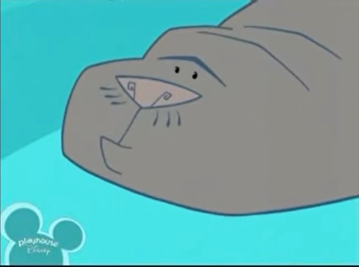 Florida | NatureRules1 Wiki | Fandom