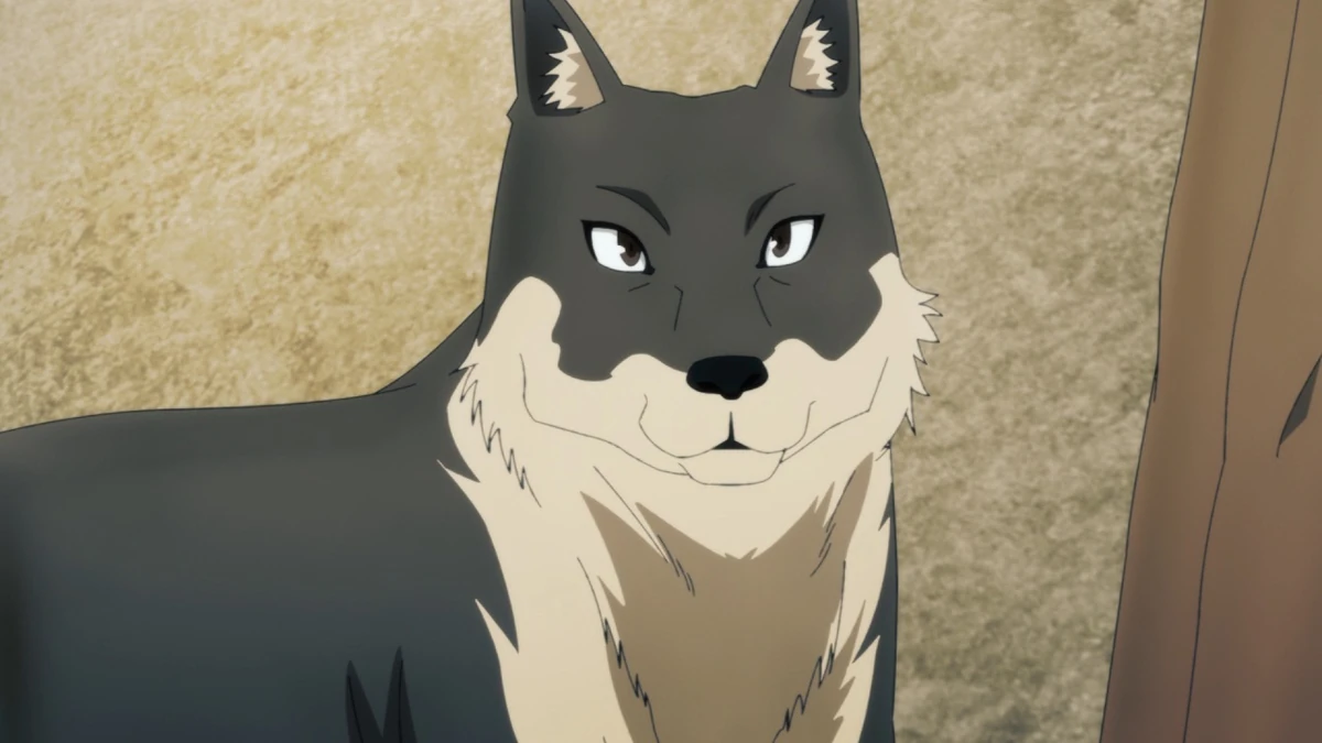 Coydog | NatureRules1 Wiki | Fandom