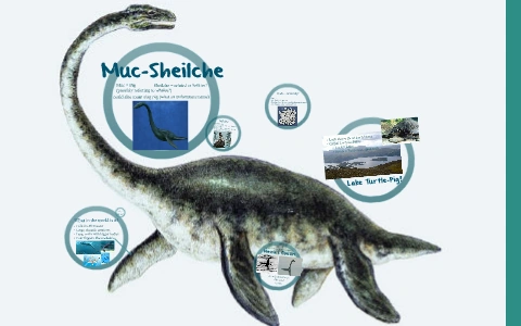 Muc-sheilche | NatureRules1 Wiki | Fandom