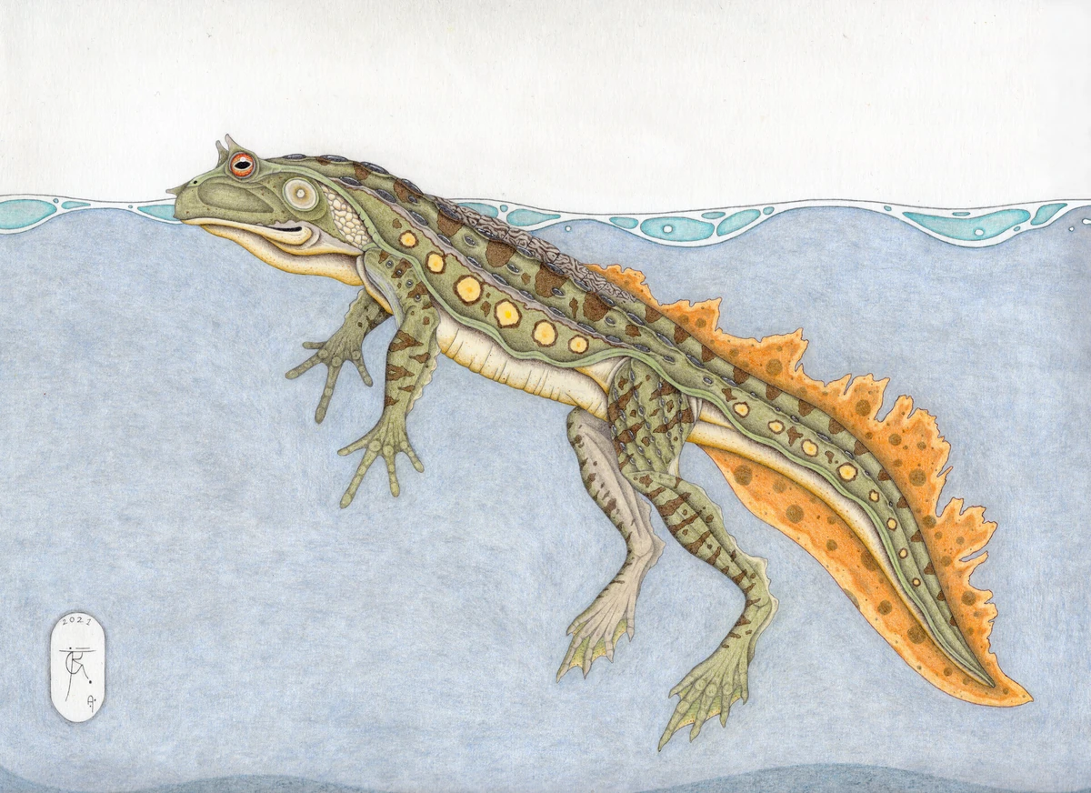 Whowie | NatureRules1 Wiki | Fandom