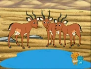 List of Species in Nickelodeon | NatureRules1 Wiki | Fandom