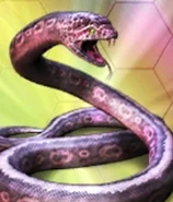 Gigantophis | NatureRules1 Wiki | Fandom