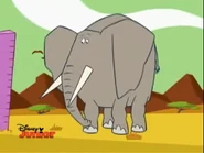 List of Stanley in Animal Species | NatureRules1 Wiki | Fandom