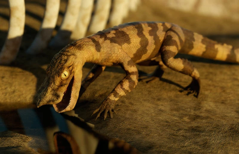 Anatosuchus | NatureRules1 Wiki | Fandom