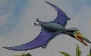 Pterodactylus | NatureRules1 Wiki | Fandom