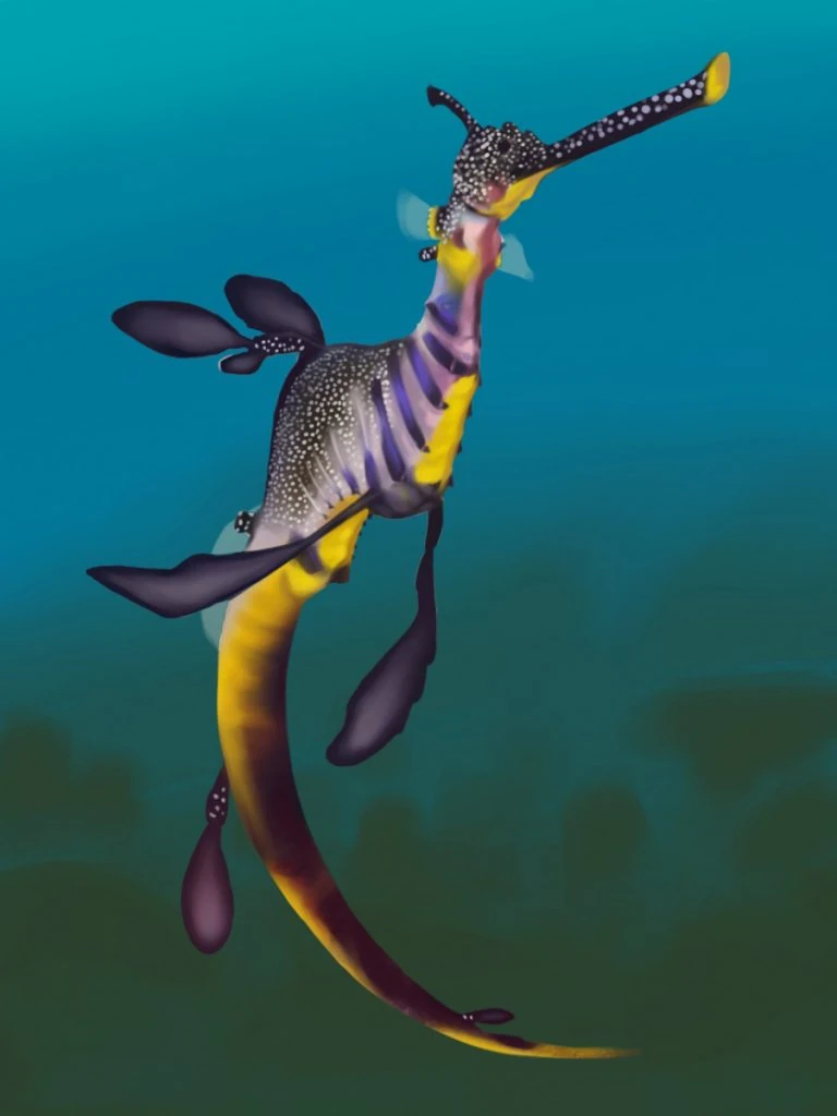 Sea Dragon