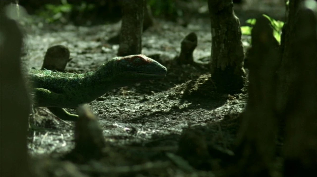 Petrolacosaurus | NatureRules1 Wiki | Fandom
