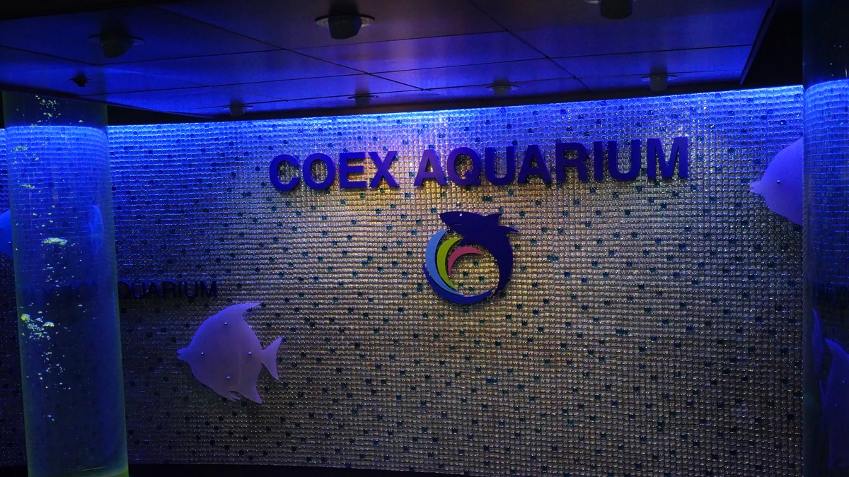 COEX Aquarium | NatureRules1 Wiki | Fandom