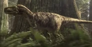 Daspletosaurus | NatureRules1 Wiki | Fandom