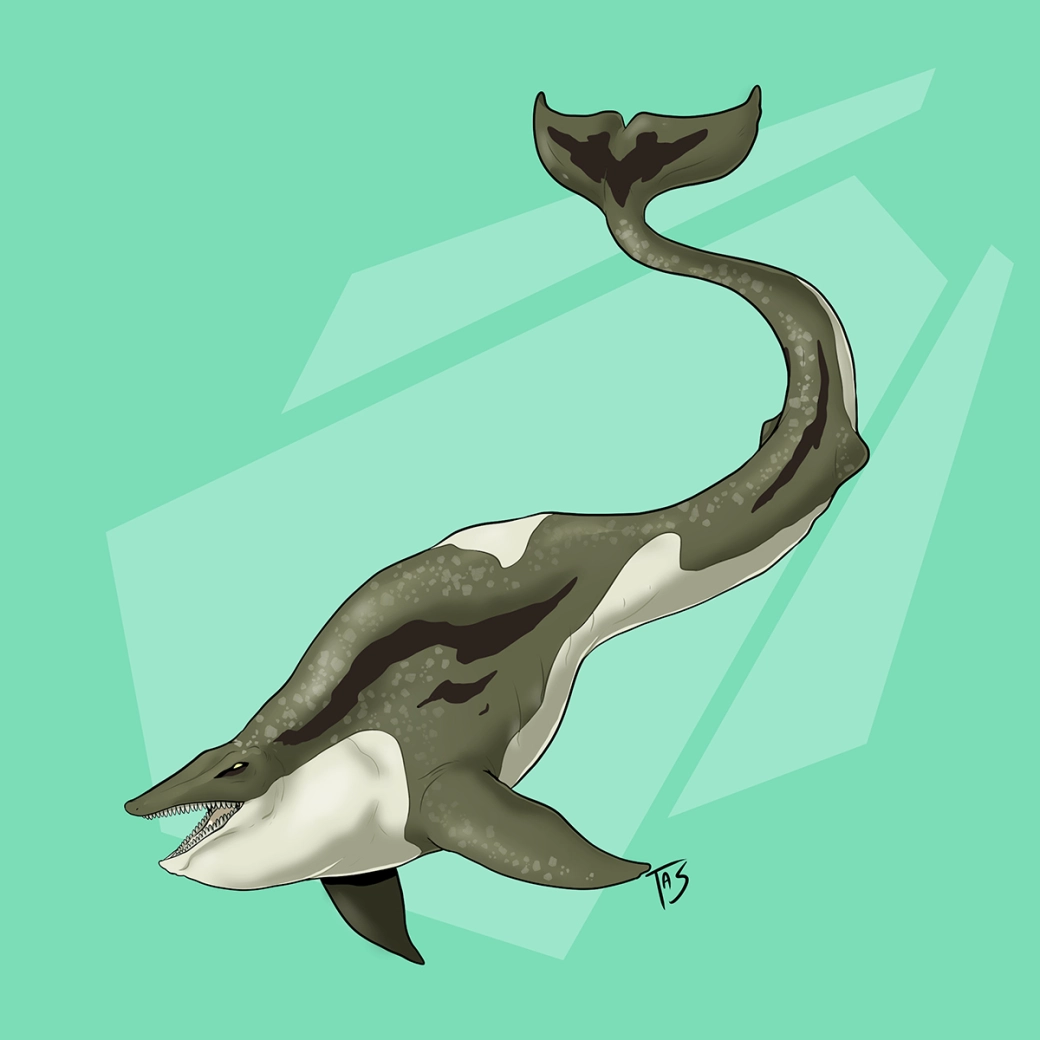 Pukehina Predator | NatureRules1 Wiki | Fandom