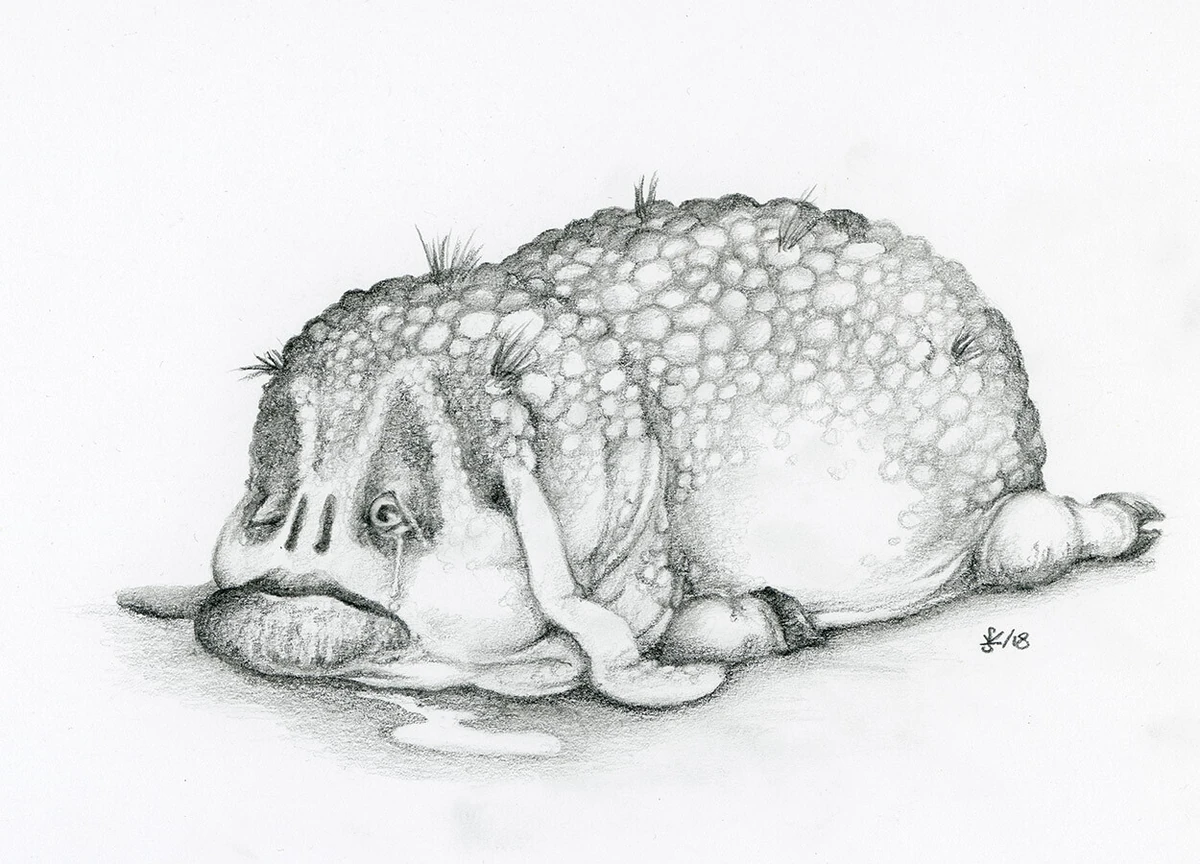 Squonk | NatureRules1 Wiki | Fandom