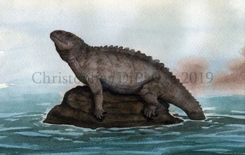 Placodus | NatureRules1 Wiki | Fandom