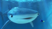 List of Species in Finding Nemo | NatureRules1 Wiki | Fandom