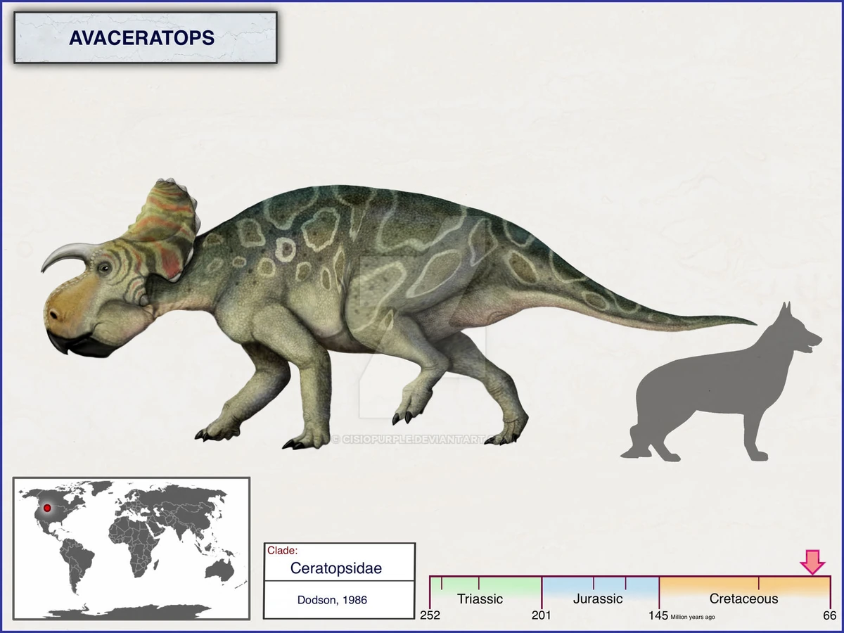 Avaceratops | NatureRules1 Wiki | Fandom