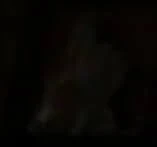 Black Scraper | NatureRules1 Wiki | Fandom