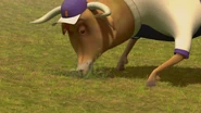 Barnyard | NatureRules1 Wiki | Fandom
