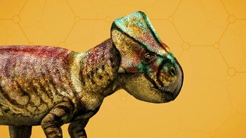 Microceratus | NatureRules1 Wiki | Fandom