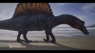 Spinosaurus | NatureRules1 Wiki | Fandom