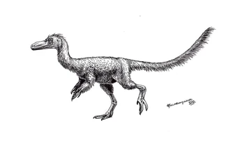 Haplocheirus | NatureRules1 Wiki | Fandom