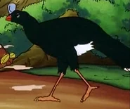 Horned Curassow | NatureRules1 Wiki | Fandom