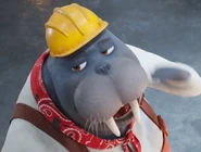 Walrus | NatureRules1 Wiki | Fandom