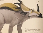 List of Species in dink the little dinosaur | NatureRules1 Wiki | Fandom