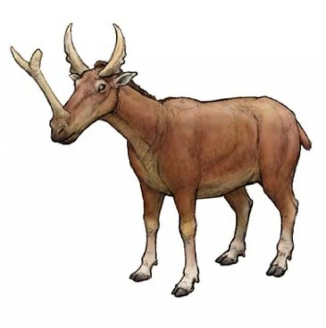 Ice Age: Dawn of the Dinosaurs | NatureRules1 Wiki | Fandom