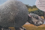 Doedicurus | NatureRules1 Wiki | Fandom