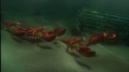 List of Species in Finding Nemo | NatureRules1 Wiki | Fandom