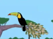 List of Mama Mirabelle's Home Movies Species | NatureRules1 Wiki | Fandom