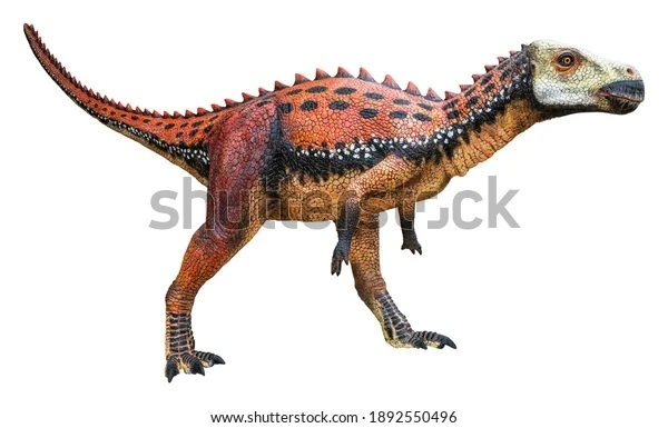 Zalmoxes | NatureRules1 Wiki | Fandom