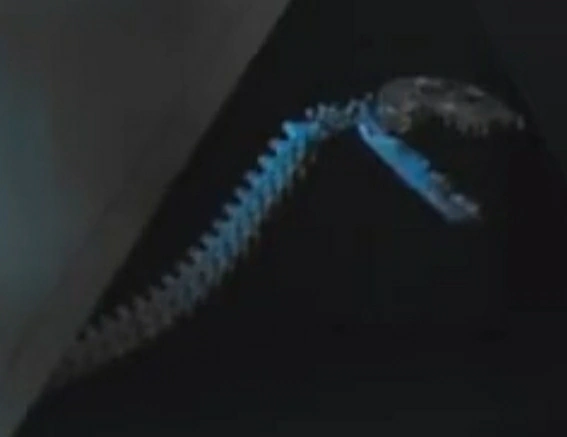 Hydrotherosaurus | NatureRules1 Wiki | Fandom