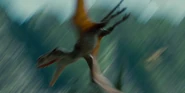 Dimorphodon | NatureRules1 Wiki | Fandom