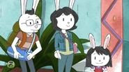 Domestic Rabbit | NatureRules1 Wiki | Fandom