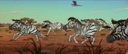List of Species in Nickelodeon | NatureRules1 Wiki | Fandom