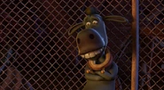 Mule | NatureRules1 Wiki | Fandom