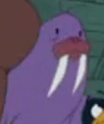 Walrus | NatureRules1 Wiki | Fandom