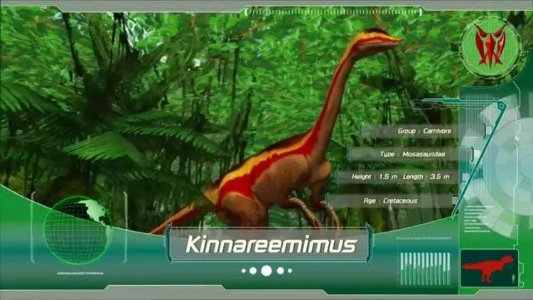 Kinnareemimus | NatureRules1 Wiki | Fandom