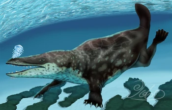 Rodhocetus | NatureRules1 Wiki | Fandom