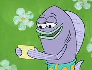 Blue Groper | NatureRules1 Wiki | Fandom