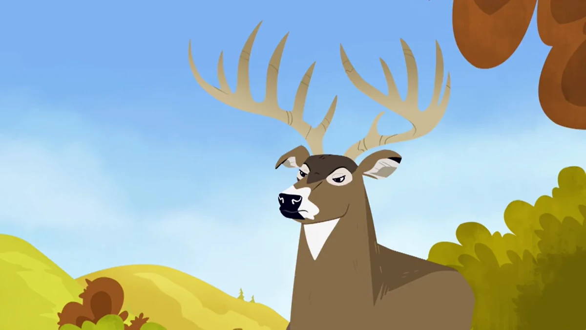 White-tailed Deer/TV Shows | NatureRules1 Wiki | Fandom