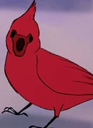 Northern Cardinal | NatureRules1 Wiki | Fandom