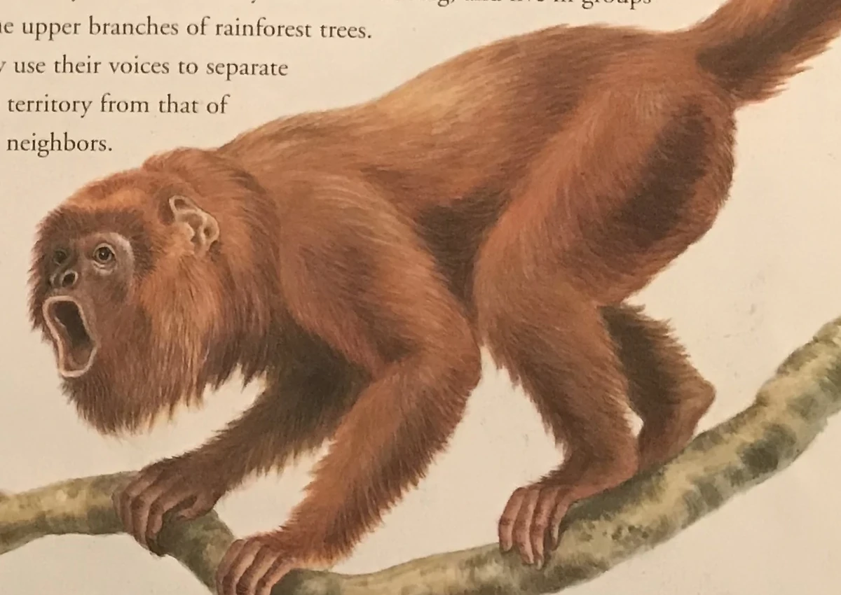 Venezuelan Red Howler/Books | NatureRules1 Wiki | Fandom