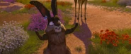 Riverine Rabbit | NatureRules1 Wiki | Fandom